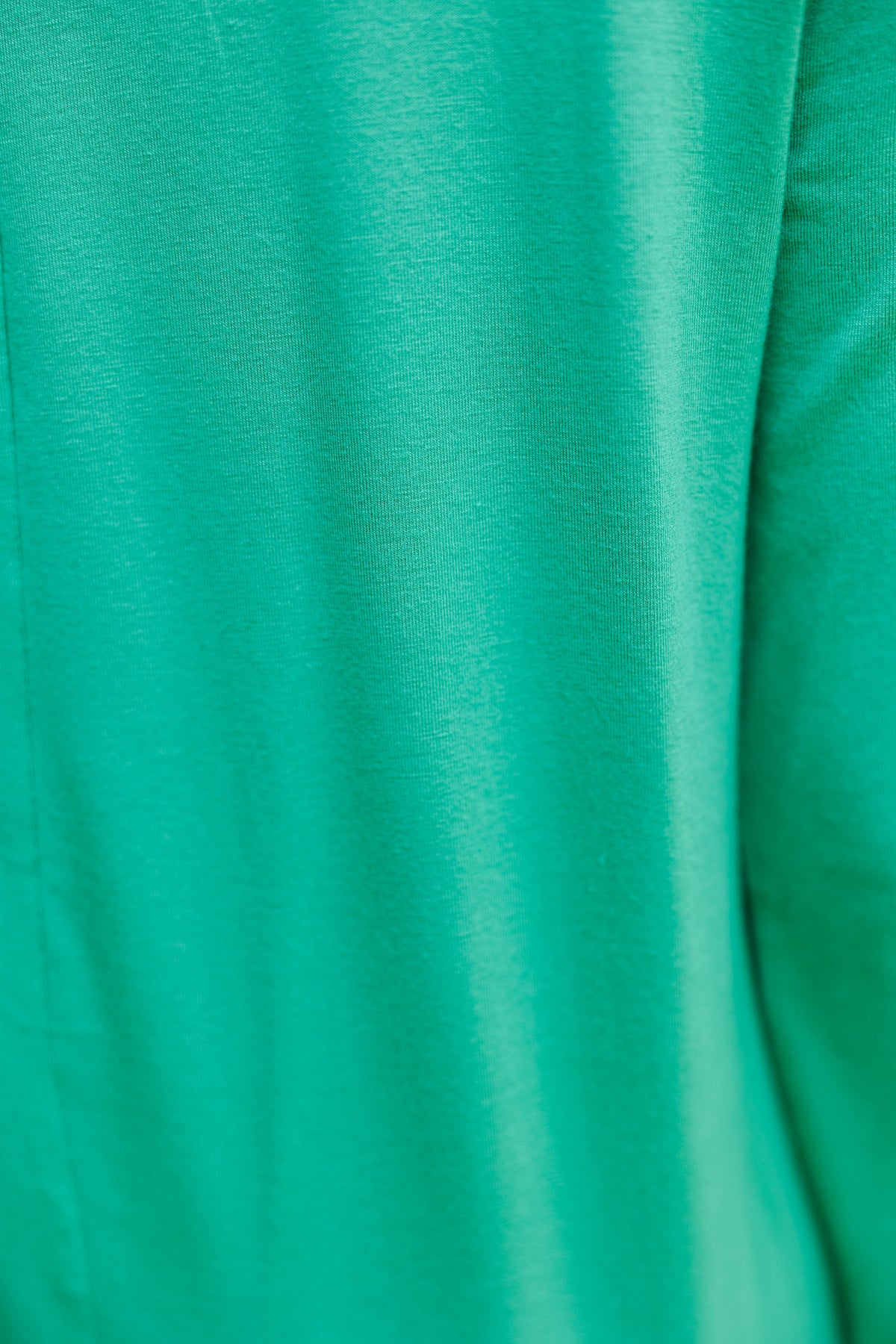Won't Let You Down Kelly Green Classic Top – Shop the Mint