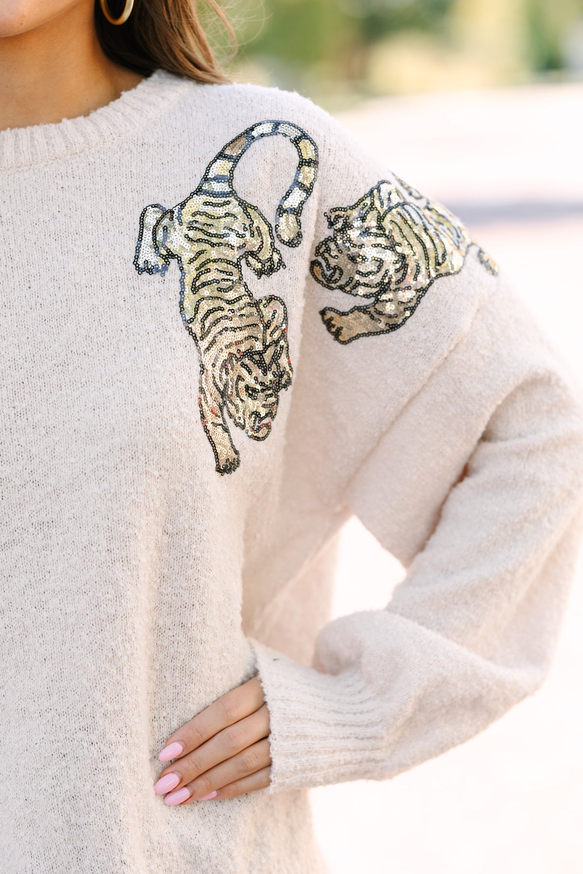 So Much To Love Oatmeal Brown Sequin Tiger Sweater – Shop the Mint