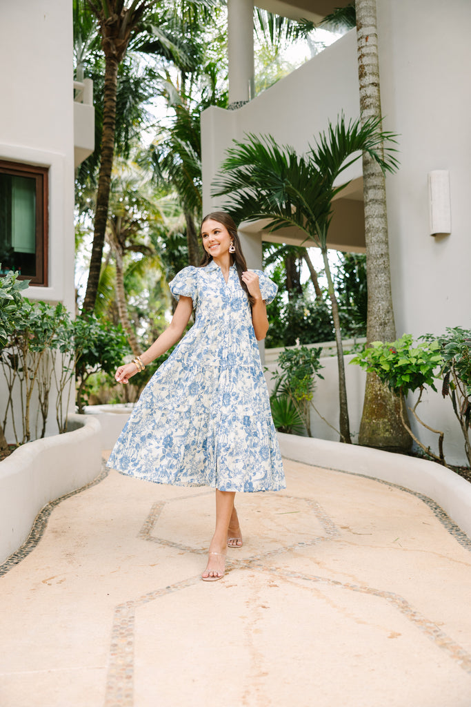 Perfect For You Blue Toile Button Down Midi Dress – Shop the Mint