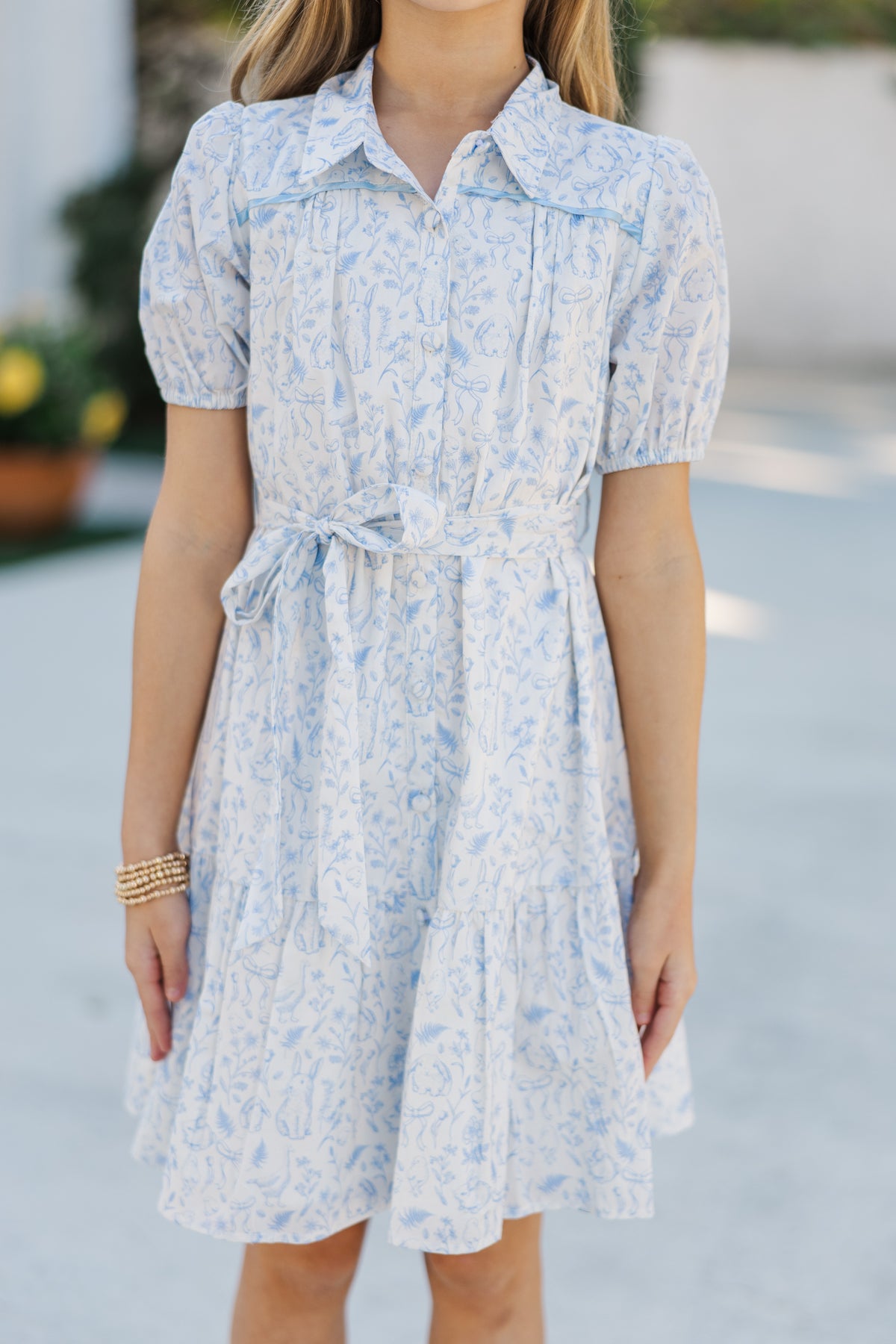 Girls: The Bianca Light Blue Toile Dress – Shop the Mint