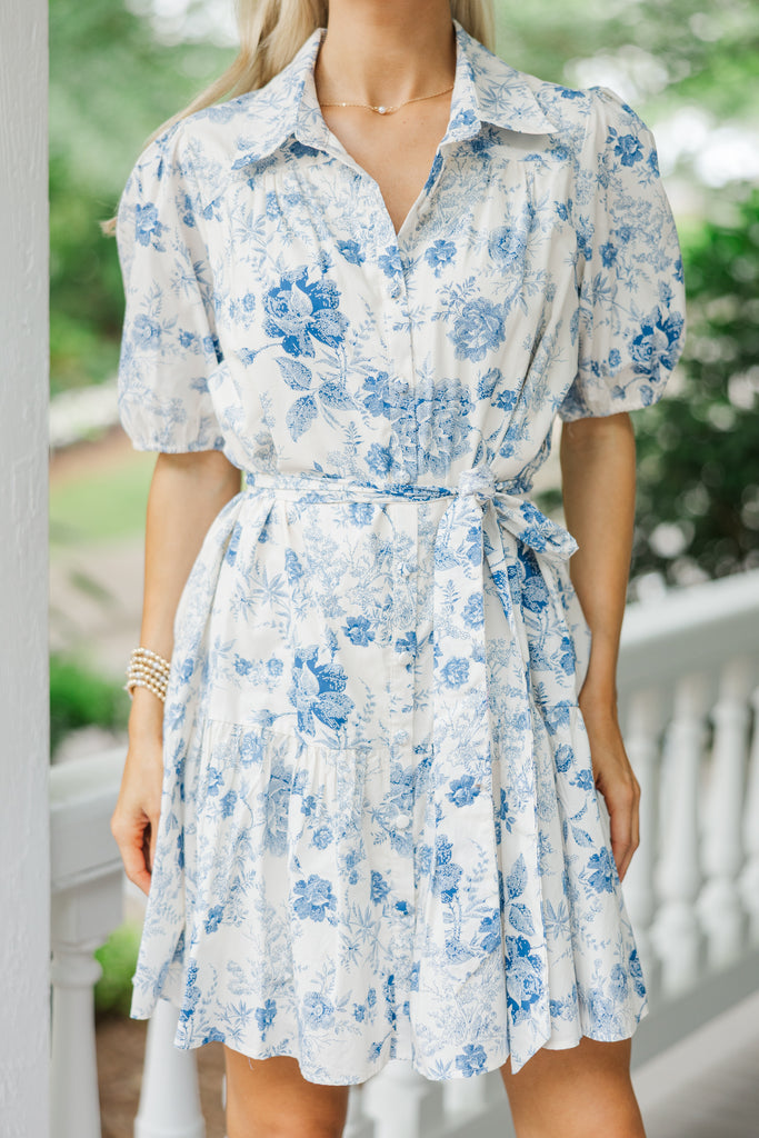 All Is Well Blue Floral Toile Dress – Shop the Mint