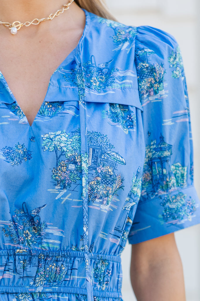 The Patience Blue Toile Dress – Shop the Mint