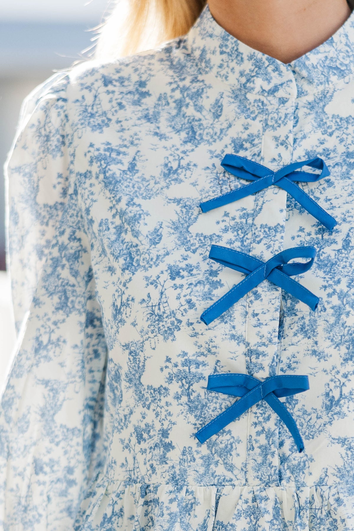 There's Always Hope Blue Toile Dress – Shop the Mint