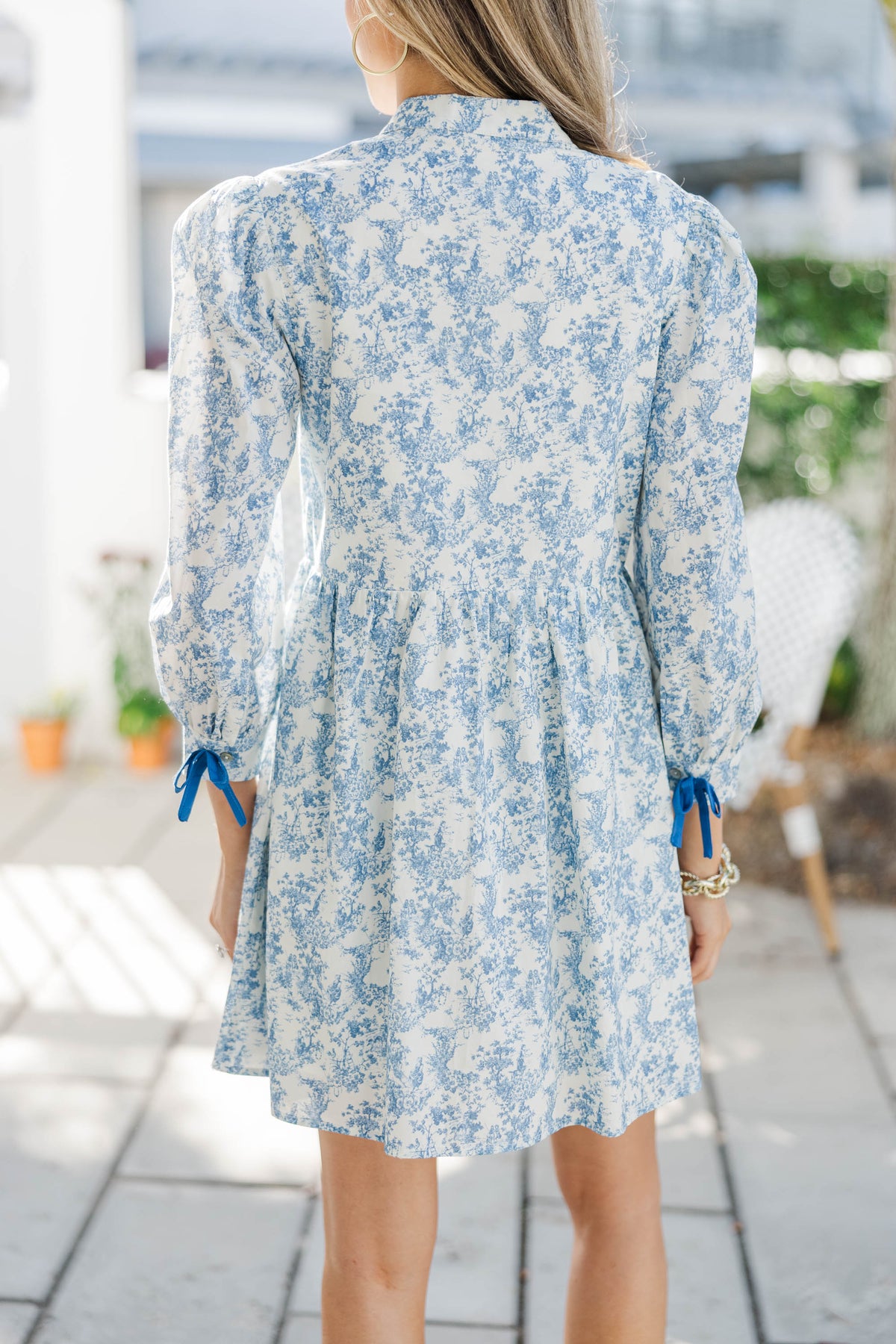 There's Always Hope Blue Toile Dress – Shop the Mint